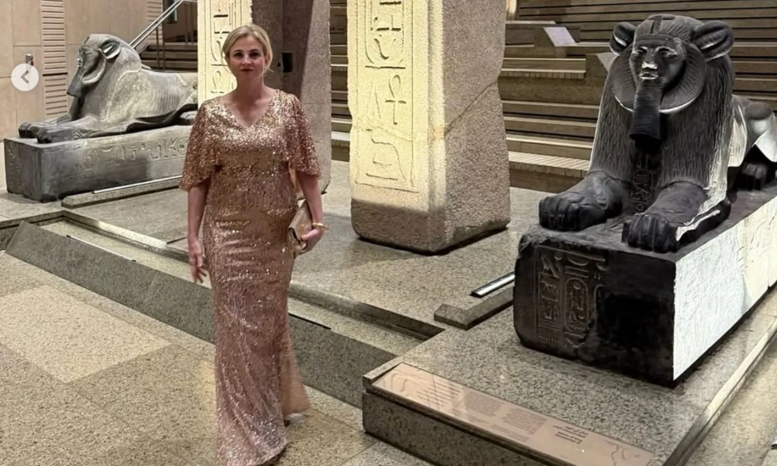 Meinl-Reisinger in Gold: Glanz-Auftritt in Kairo sorgt für Sturm im ...